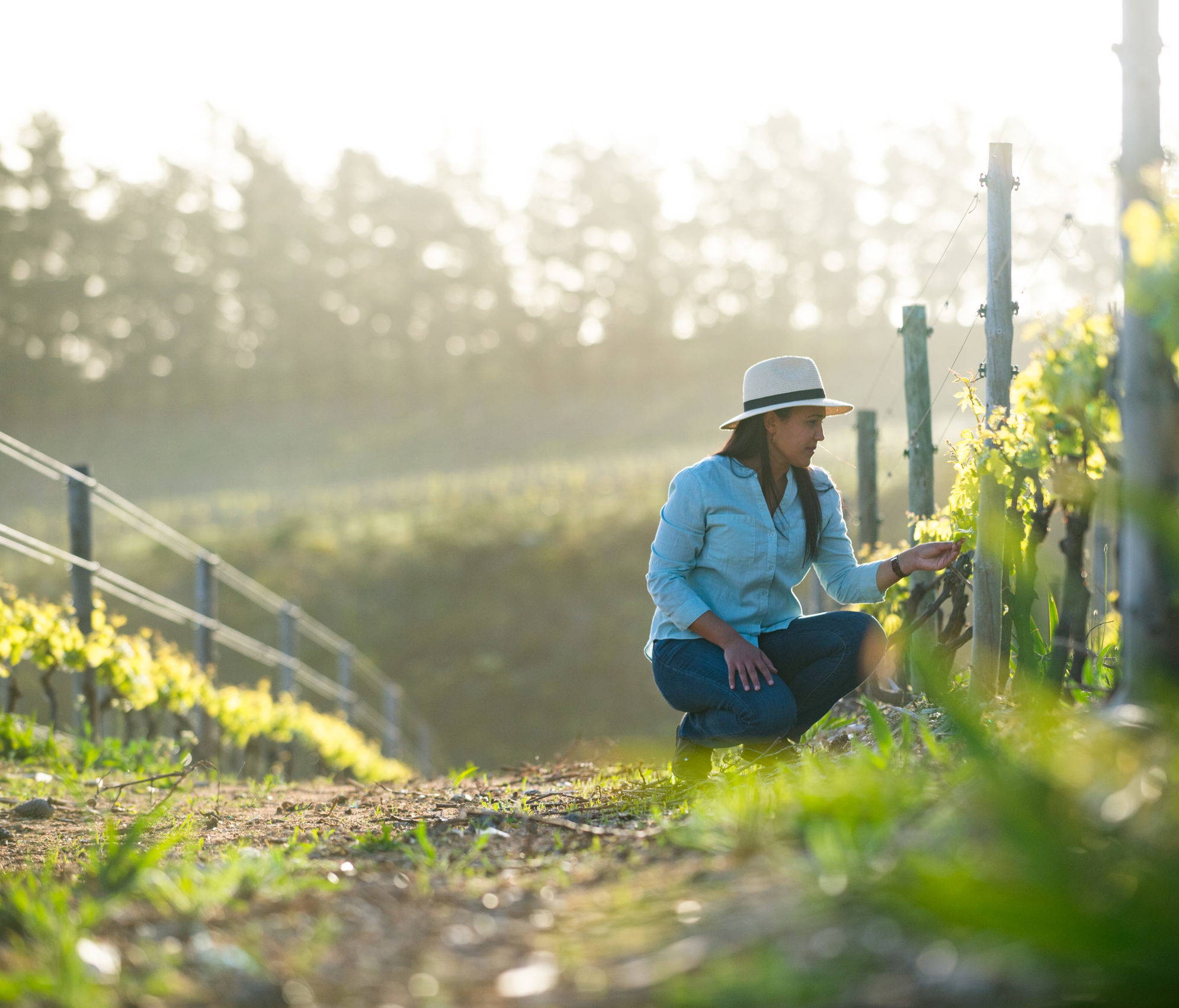 Trailblazing Natasha Williams of Lelie Van Saron - Vine Street Imports