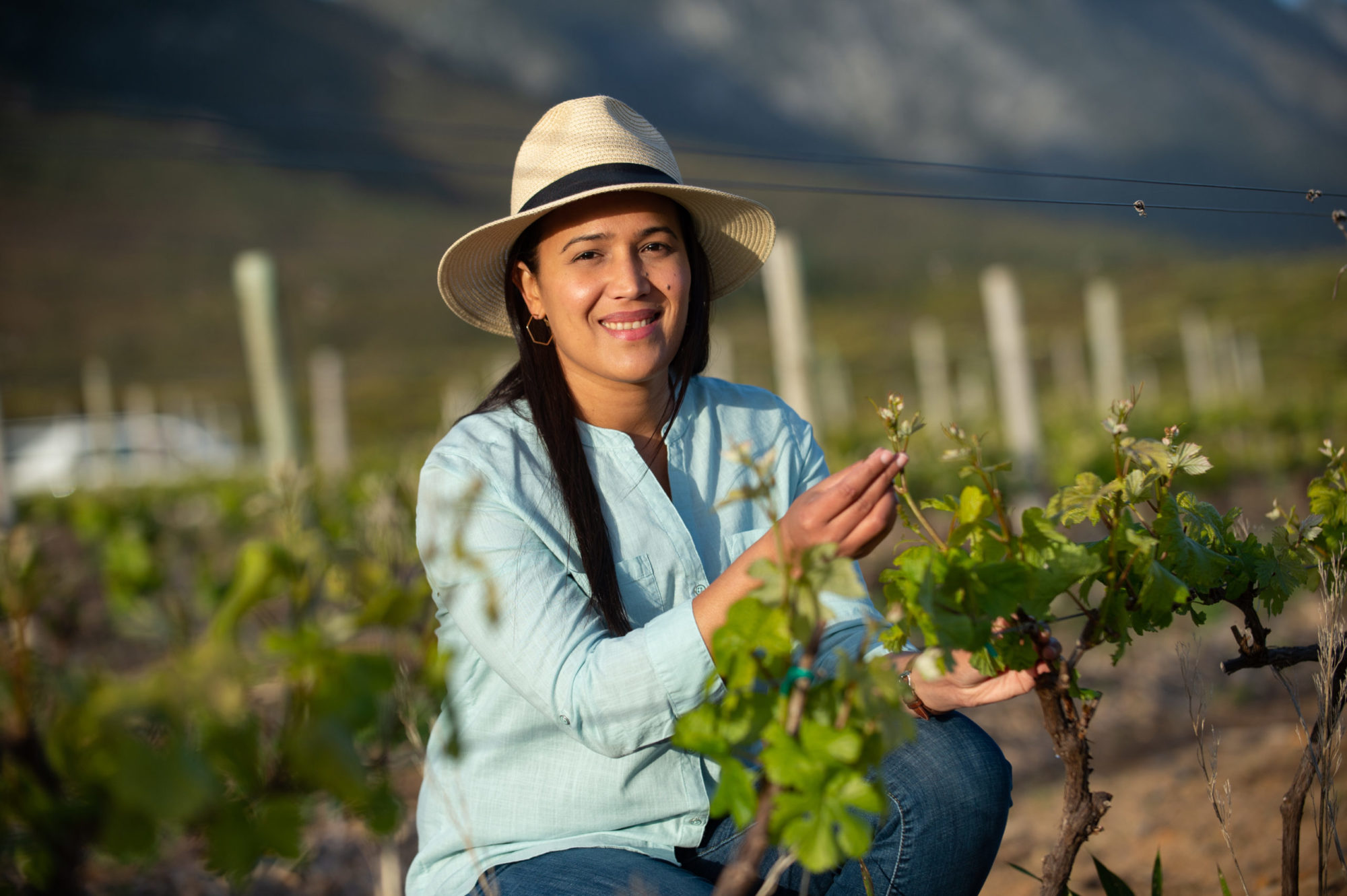 The Wines and Story of the Lily of Saron: Natasha Williams of Lelie van ...