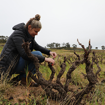 Episode 19 - Jolandie Fouché Part 1 (Wolf & Woman) - Vine Street Imports