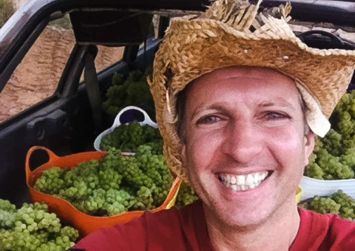 Podcast Episode 4 - Tim Wildman (Wildman Wines) - Vine Street Imports